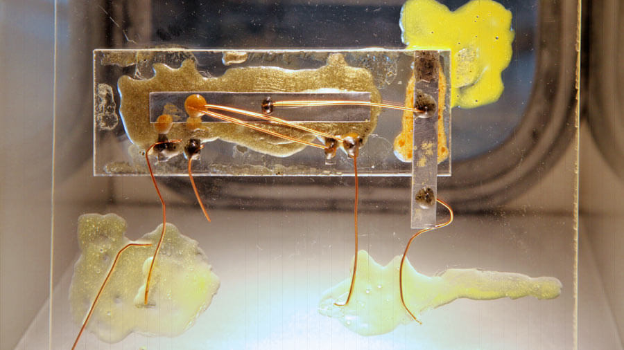 How the 1950s Shaped the Modern Technology Landscape